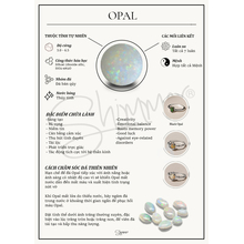 Ý Nghĩa Và Công Dụng Của OPAL